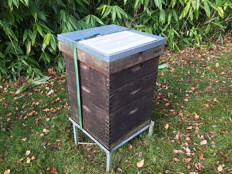 Hive information - basic types of modern or movable hives in common use.