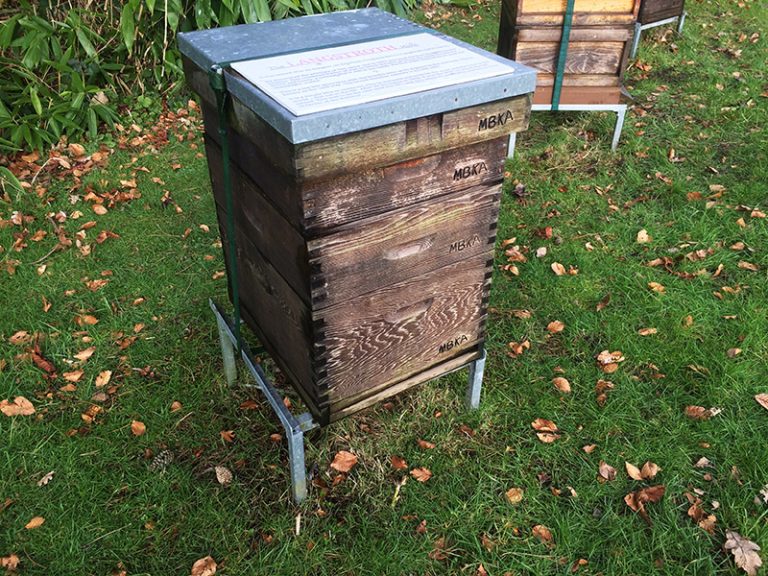 Hive information - basic types of modern or movable hives in common use.