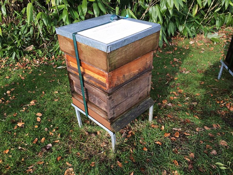 Hive information - basic types of modern or movable hives in common use.