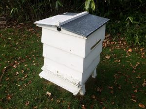 Hive information - basic types of modern or movable hives in common use.