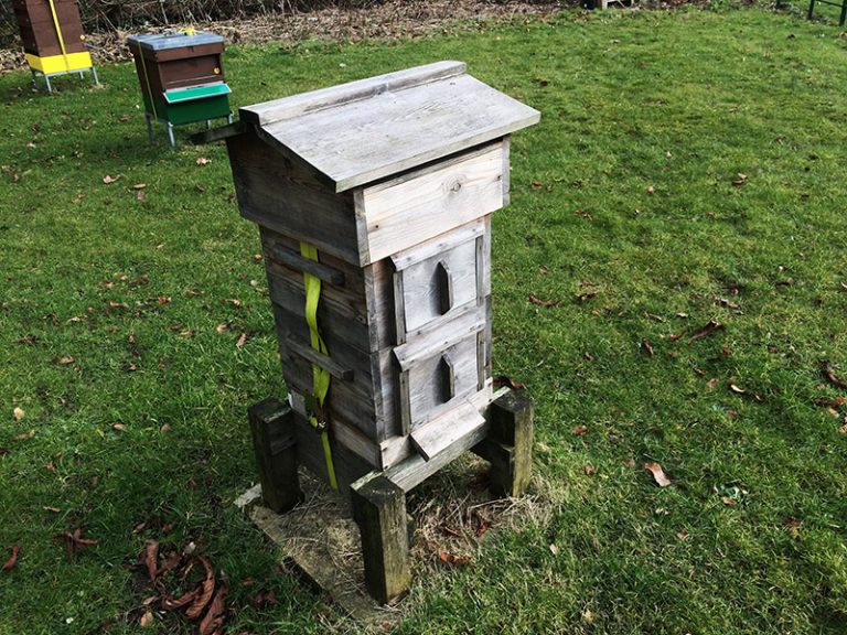Hive information - basic types of modern or movable hives in common use.