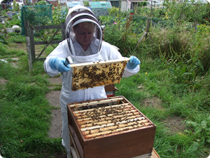 About Manchester & District Beekeepers Association (MDBKA)
