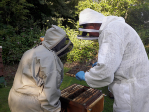About Manchester & District Beekeepers Association (MDBKA)